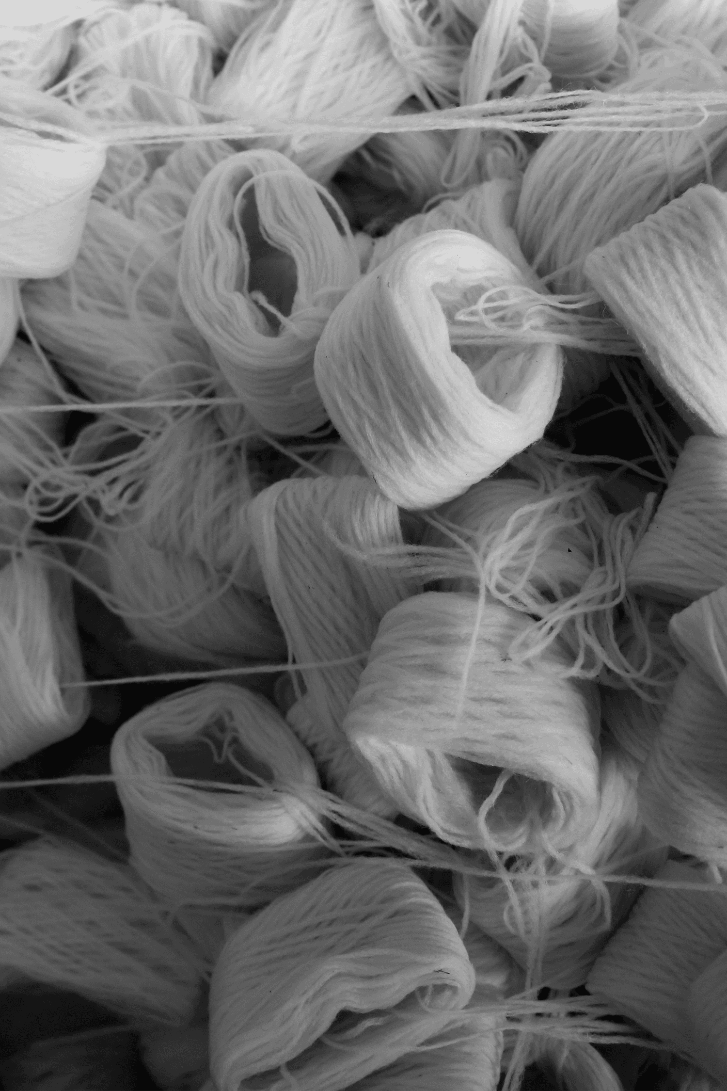 The Cap Specialist | Varsity Headwear